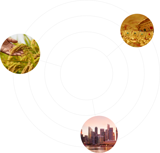 Discover the Story and Journey of Brú Finance.